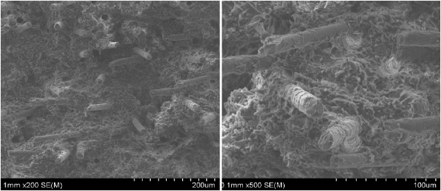 PPO和PA66、GF的爱恨情仇_搜狐汽车_搜狐网