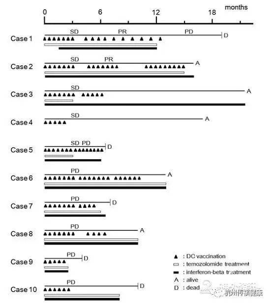 日本第四代免疫疗法：WT1树状细胞肿瘤疫苗打开治愈癌症新希望_治疗_抗原_患者