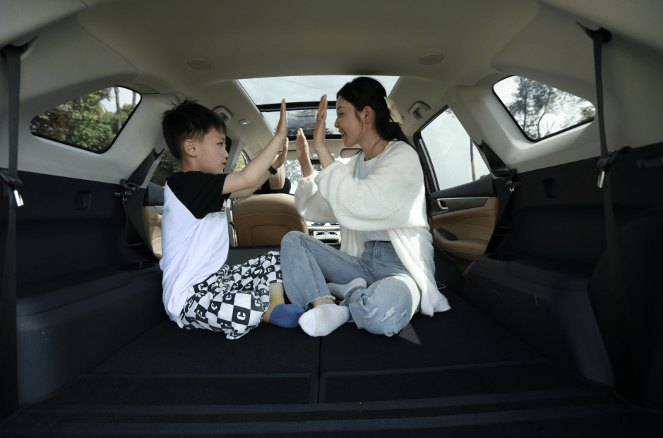 年终购车指南；蓝电E5对比欧尚Z6 iDD，省钱省油是关键！_搜狐汽车_搜狐网