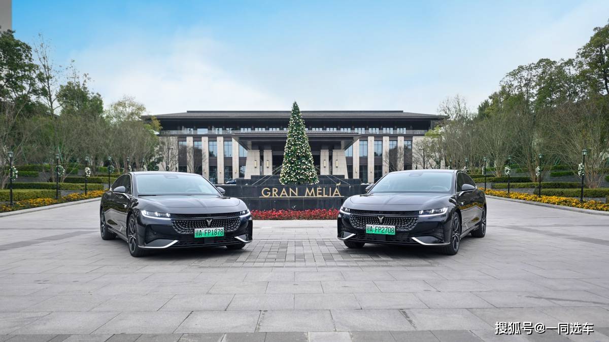 中式豪华不输BBA，岚图追光PHEV成都上市，25.28万元起售_搜狐汽车_搜狐网