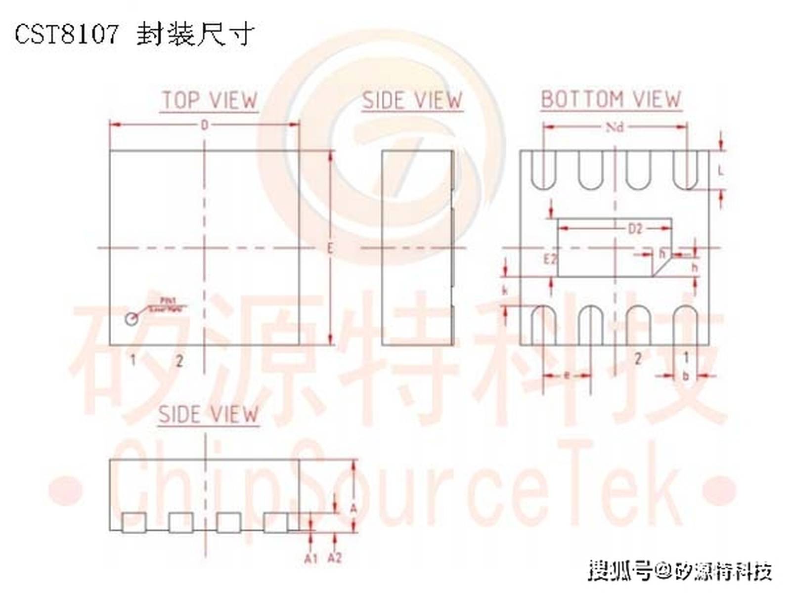 矽源特技ChipSourceTek-CST8107 DNF2*2-8封装功放