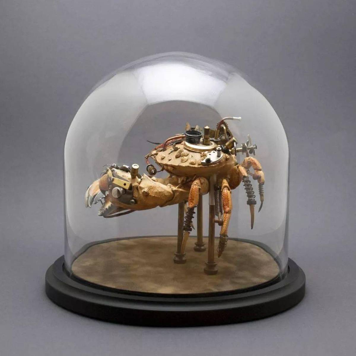 机械昆虫艺术家 Mike Libby