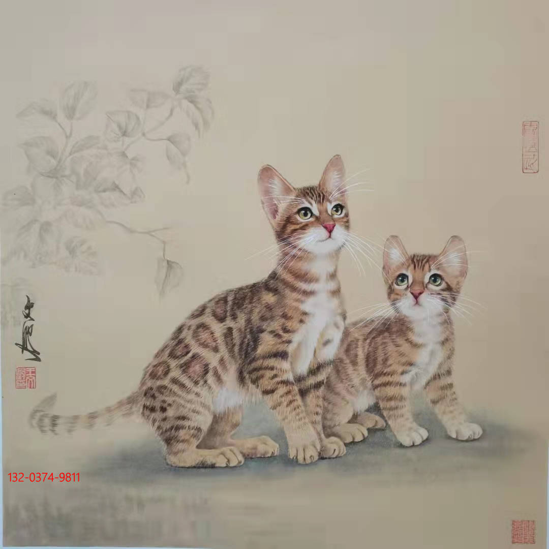 画家王文波国画猫作品集-搜狐大视野-搜狐新闻