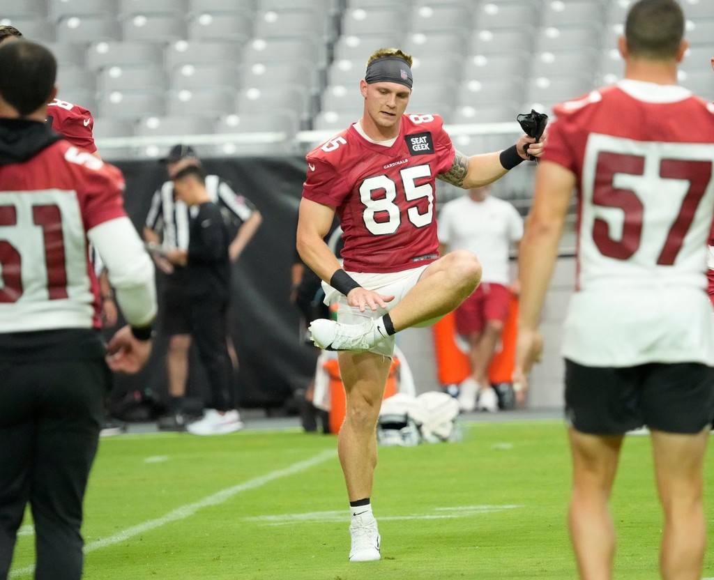 亚利桑那红雀队举行公开训练-搜狐大视野-搜狐新闻