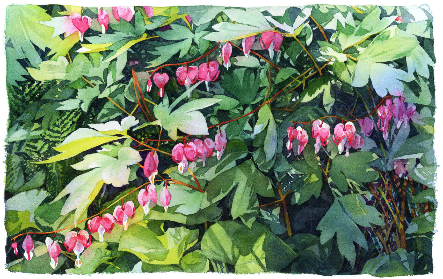 来自画家 Marlies Merk Najaka 水彩作品 欣赏-搜狐大视野-搜狐新闻