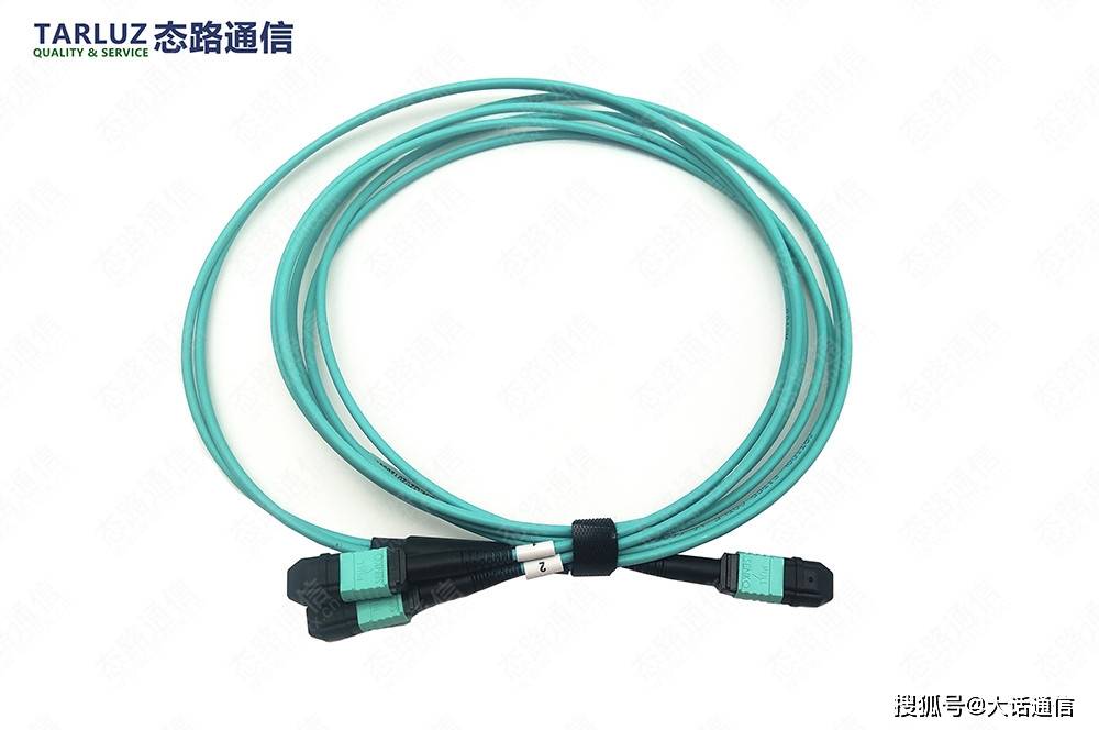 MPO转MPO分支光纤跳线8芯12芯16芯24芯48芯-搜狐大视野-搜狐新闻