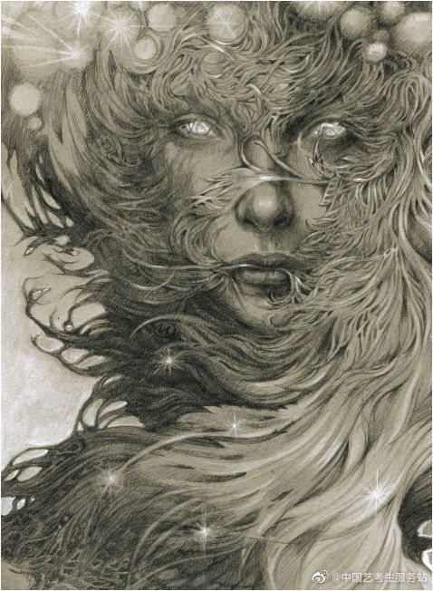 俄罗斯插画师 Olga Isaeva 手绘插画艺术-搜狐大视野-搜狐新闻