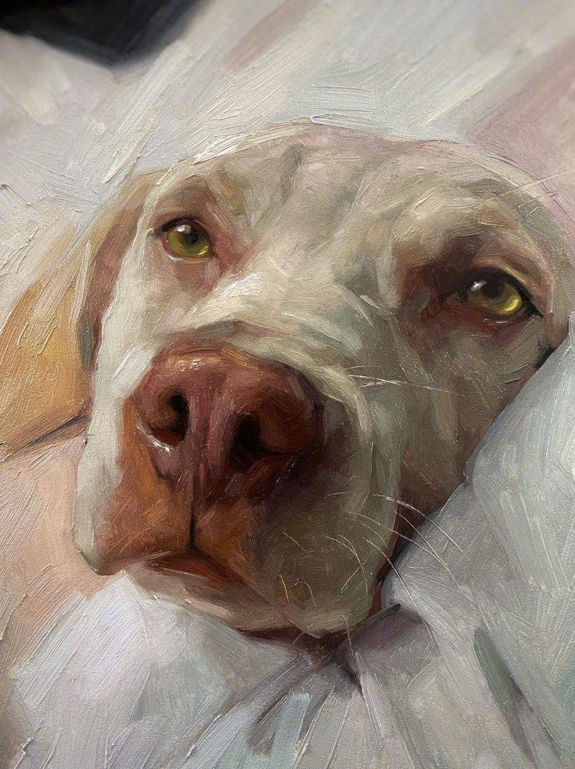 来自画家 Jennifer Gennari 绘画作品-搜狐大视野-搜狐新闻