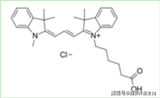 CAS:146368-13-0 磺基-CY3 羧酸 Cy3-Carboxylic Acid_荧光_Cyanine_Sulfo-Cy