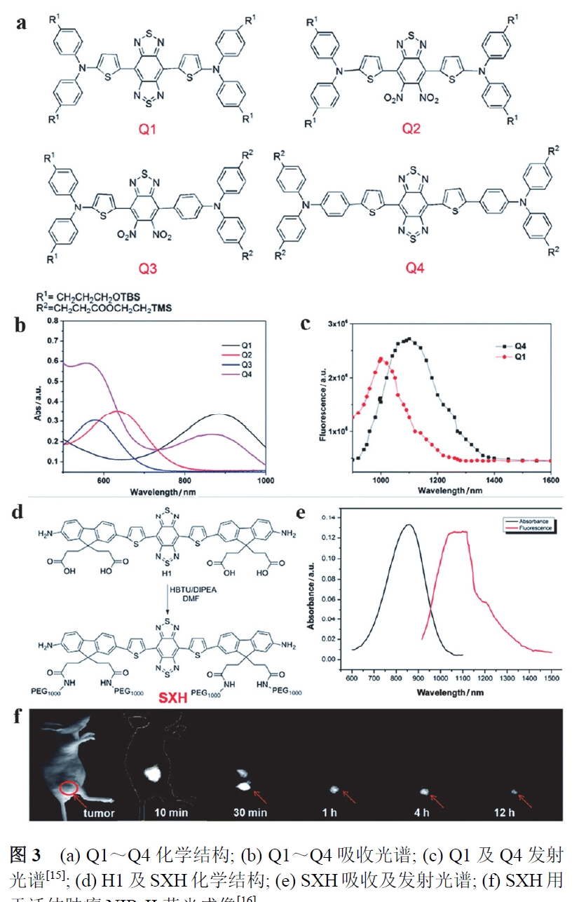 【NIR-II近红外二区荧光成像】NIR-II近红外二区荧光成像中有机小分子荧光探针_领域_组织_生物