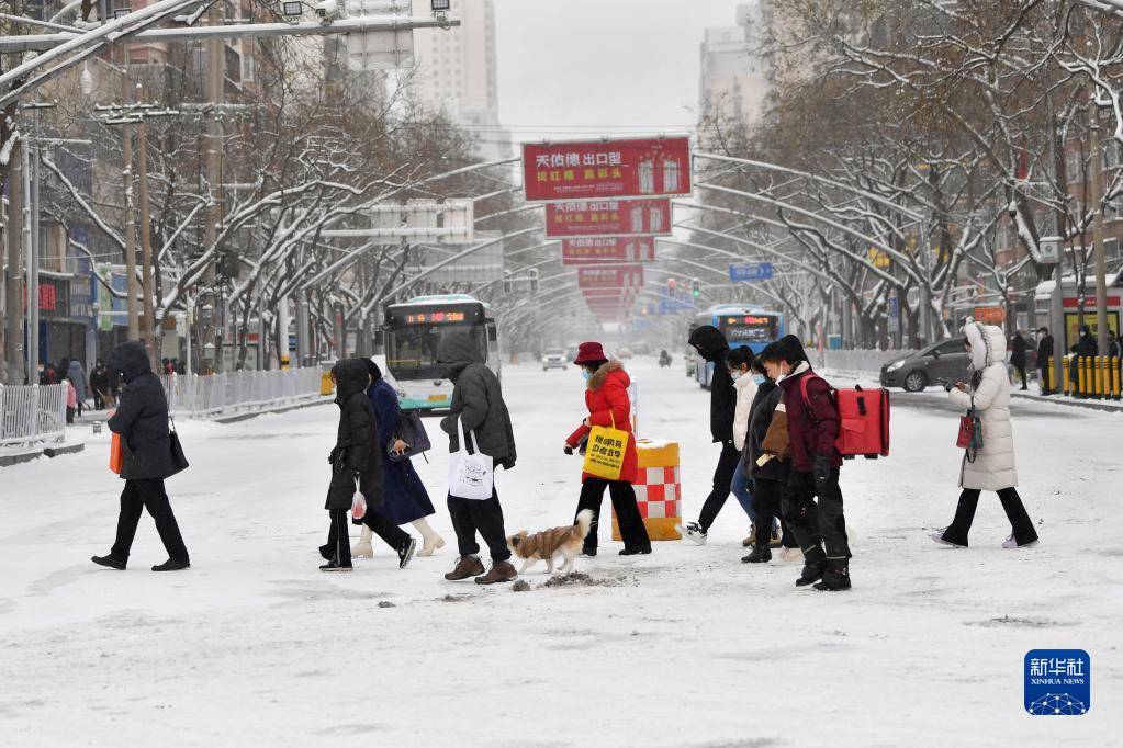 甘肃再次迎来大范围降雪天气-搜狐大视野-搜狐新闻