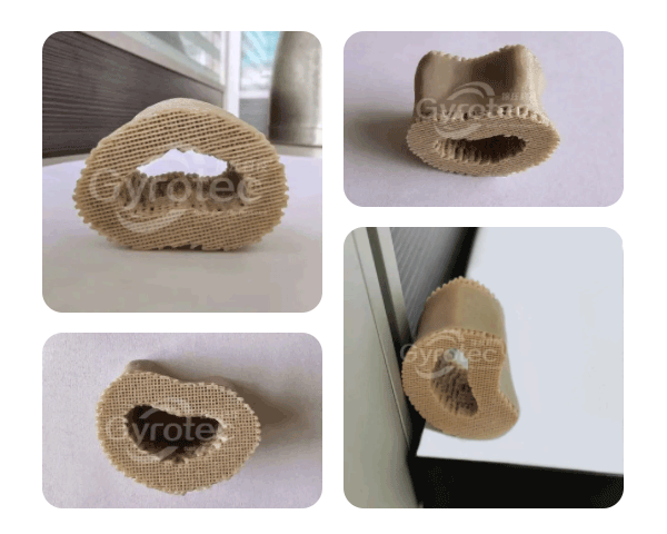 医疗新突破 ! 3D打印PEEK颈椎植入物获FDA批准_表面_技术_多孔结构