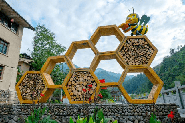 景宁爱心蜂箱认领，把“甜蜜”带回家_中蜂