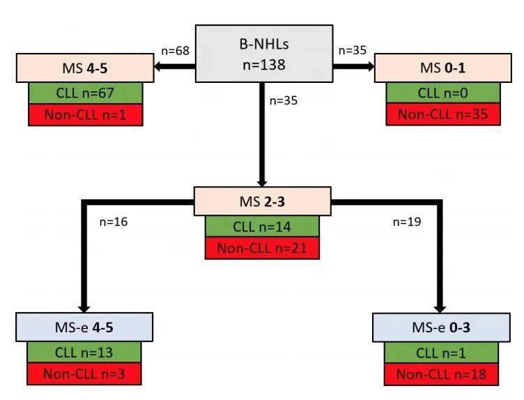 只需CD200和CD43，就能鉴别CLL和non-CLL，比常规的MS积分还好_al