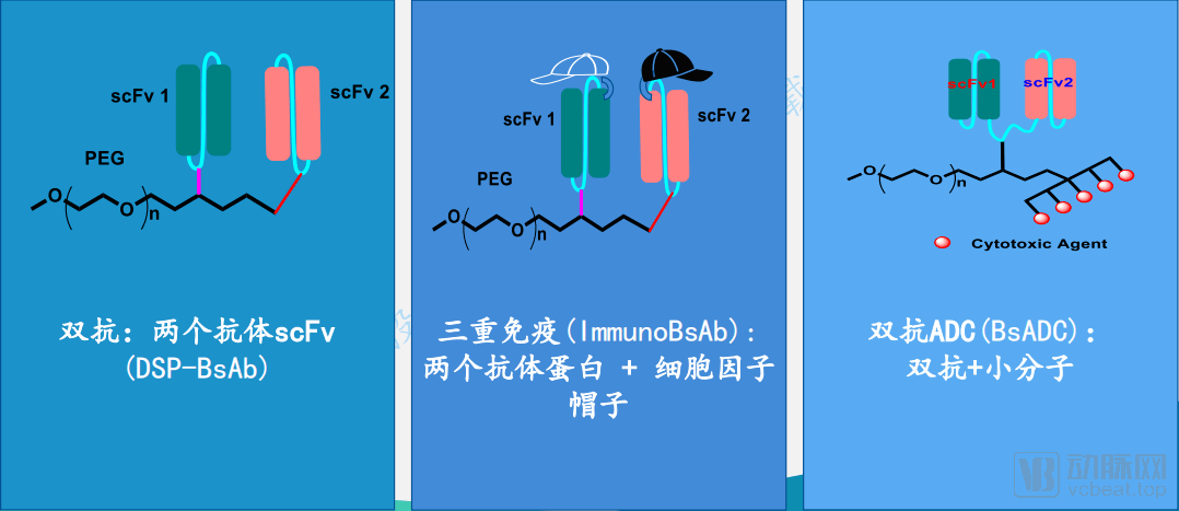 康源久远：突破PEG双链接子技术壁垒，双抗ADC、“三抗”登上精准免疫治疗舞台_药物