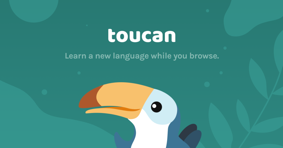 浏览网页就能学习新语言，Toucan获300万美元种子投资_公司