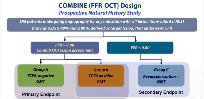 TCT 2020丨OCT-FFR联合研究——OCT联合FFR评估可更好地预测糖尿病患者的不良事件结局_病变