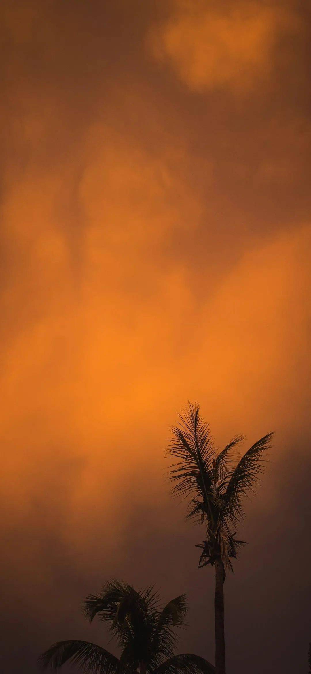 壁纸 | 换一张足够特别的手机壁纸-搜狐大视野-搜狐新闻