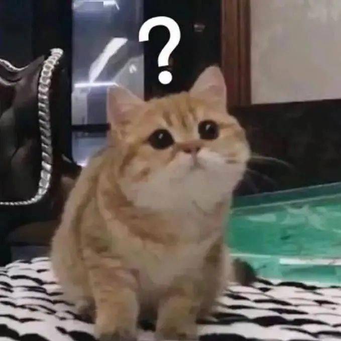 歪果仁发邮件常写的"OOO"、"LOL"和“BS”，到底是什么意思？!_out