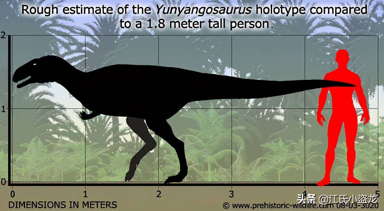2020古生物学家到底命名了多少种恐龙？_Analong
