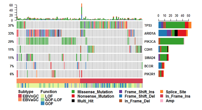 CTM期刊 | 病程可预测！这项研究，为胃癌治疗提出新方向_患者