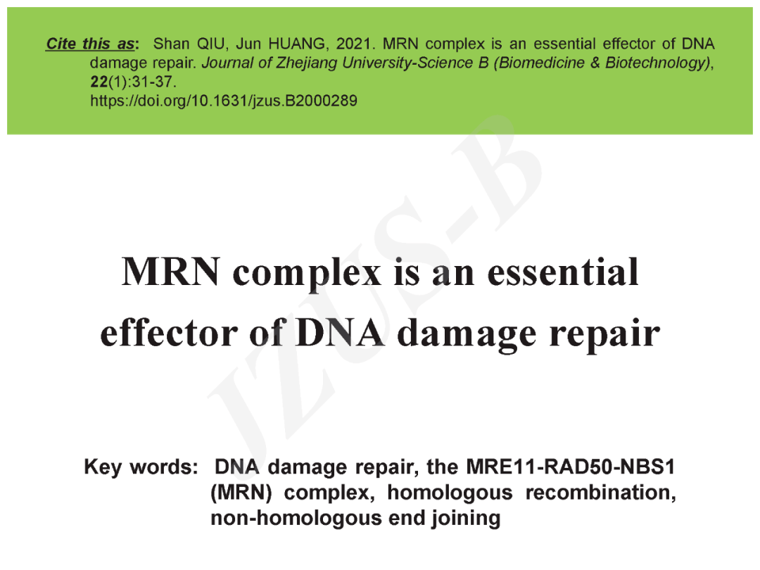 浙江大学黄俊等：MRN蛋白复合物，一个重要的DNA损伤修复效应因子_Jun