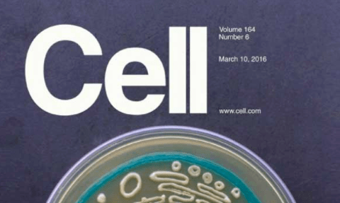 重磅！CNS三大顶刊“开放获取”了，报价在这里！_期刊