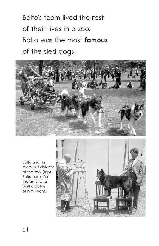 【RAZ-H-31】Sled Dogs to the Rescue_Level