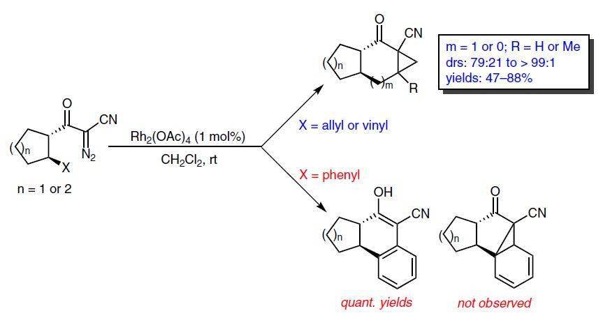 常见的铑催化反应_Org