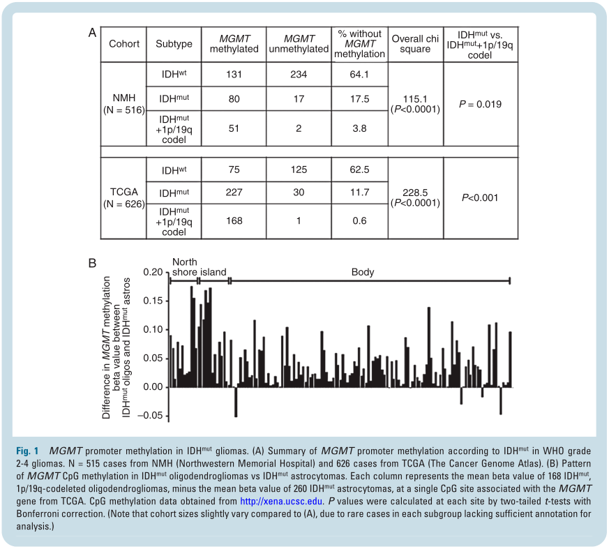 【期刊速览】《Neuro-Oncology》2021年5月文章_环状