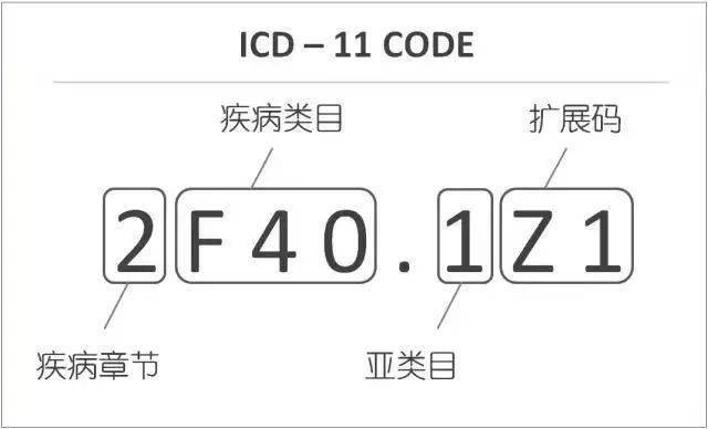 ICD-11与ICD-10有什么区别？_分类
