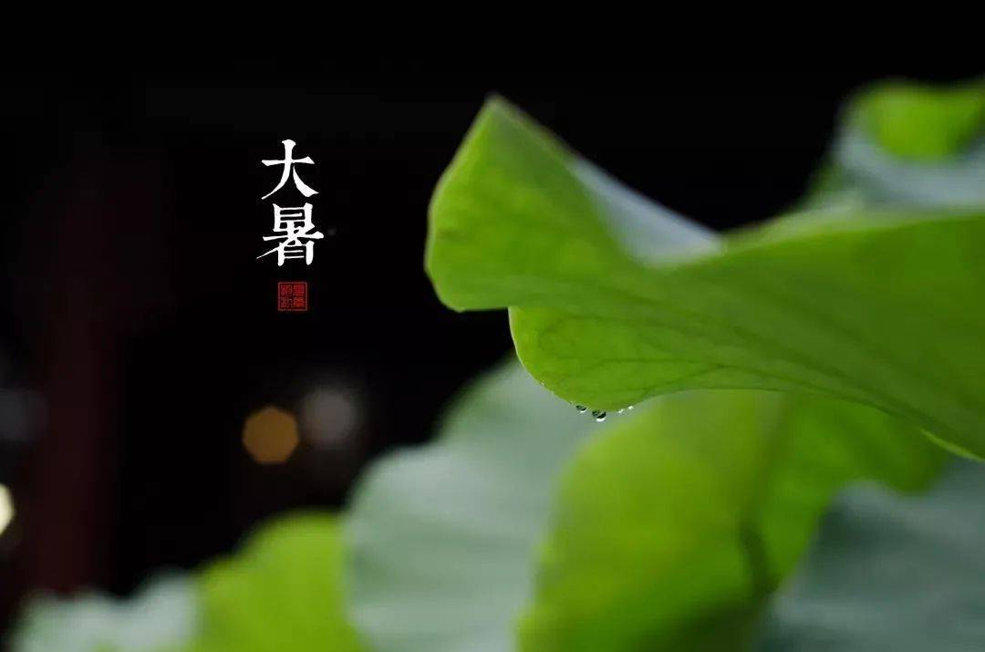 今日大暑 暑日有尽，唯愿安好萤火虫