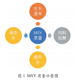 “海南育奇”推荐阅读【营养与饲料】提高MSY质量是实现低成本养猪的重要技术路径_免疫
