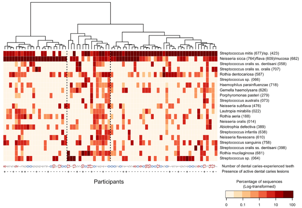 PacBio 16S全长测序：一种高效且经济的微生物组研究方法_物种
