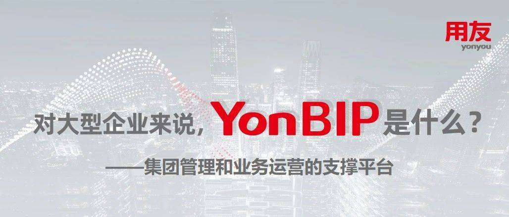 图说| 用友YonBIP是集团管理和业务运营的支撑平台_服务