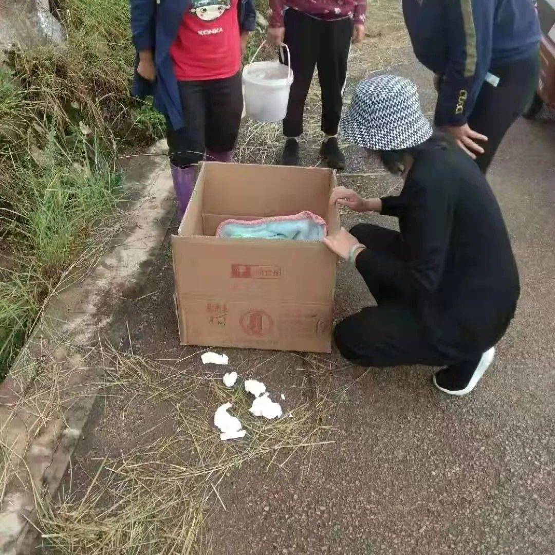 心疼!曲靖一未满月男婴被放进纸箱遗弃在路边… 孩子