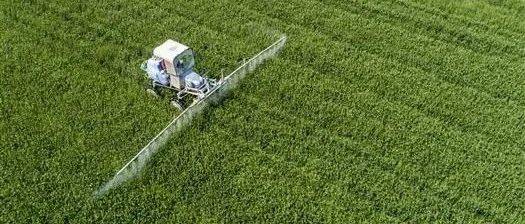 明起实施！新版农药残留限量标准守护“舌尖上的安全”_农产品