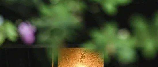 【卜算子:祝福曲】抱怨会带来灾难(深度好文)夫人