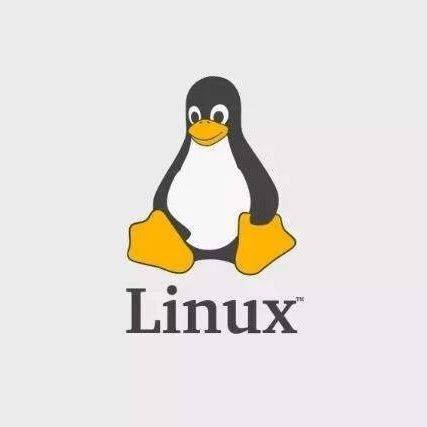 Linux小白看什么书？_文件