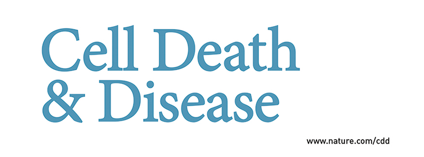 【前沿】徐骁教授团队在Cell Death & Disease总结肿瘤干细胞代谢可塑性促进肿瘤耐药性的机制_化疗