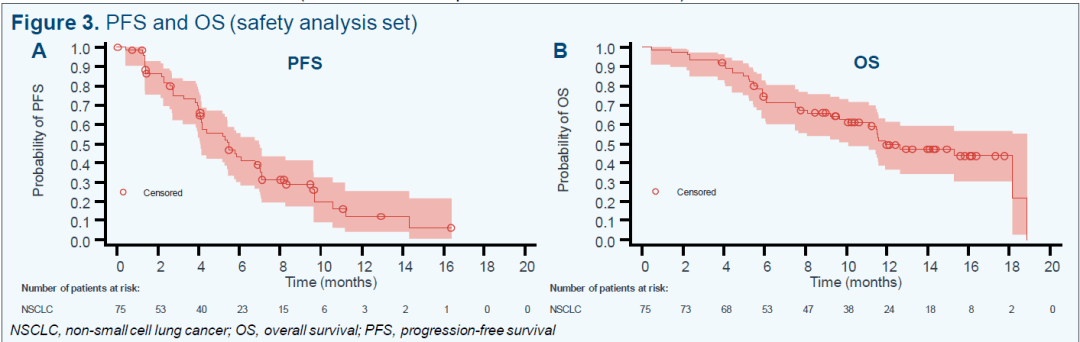 【2021 ESMO】 Sitravatinib联合替雷利珠单抗治疗晚期NSCLC初战告捷_研究