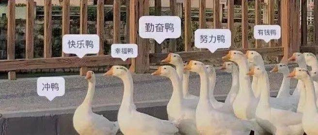 50句日常发朋友圈治愈语录丨正在上岸,很慢,但很坚定。生活