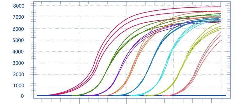 qPCR原理、qPCR引物设计、Excel数据处理模板_荧光