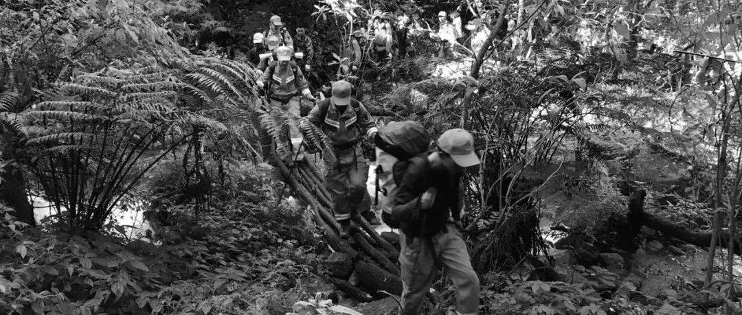 噩耗传来：4人全部遇难！官方通报披露更多细节……_人员