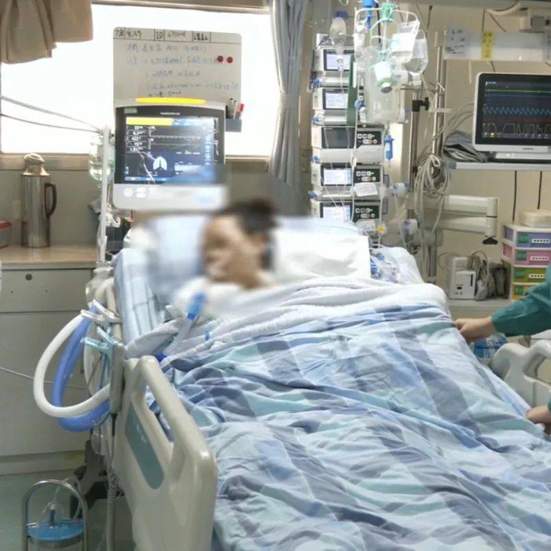 撸猫后，女子竟呼吸衰竭住进ICU！这种病南方高发_凌女士_医生_恙虫