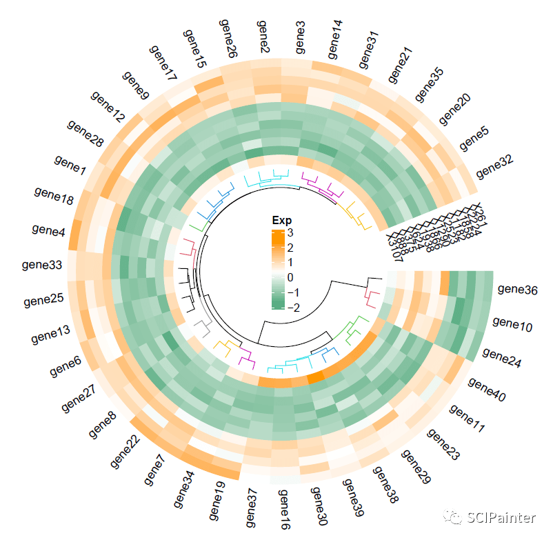 热图也开始“内卷”——环形热图如何绘制？_circos_side_dend