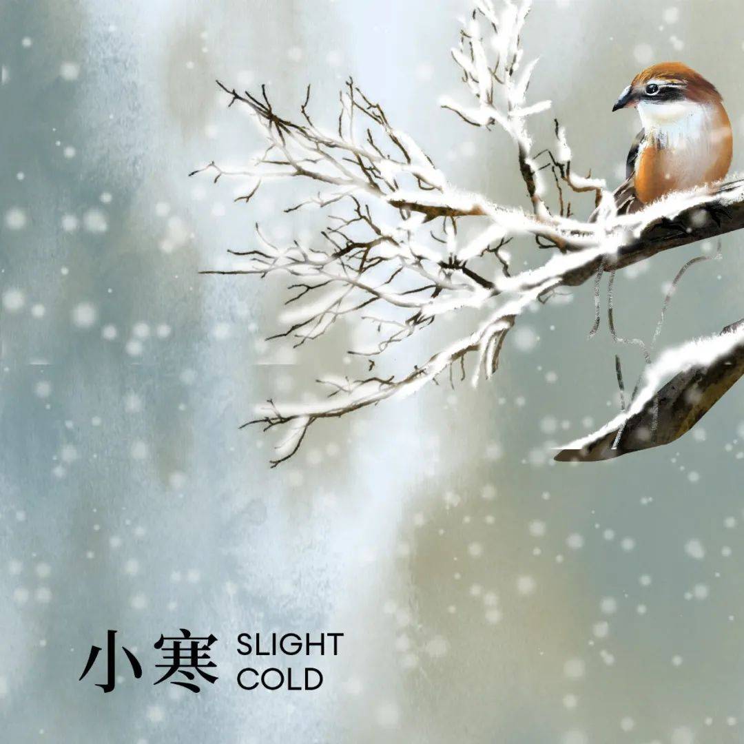 小寒 有你相伴 无畏天寒孙瑶寒尚小slight