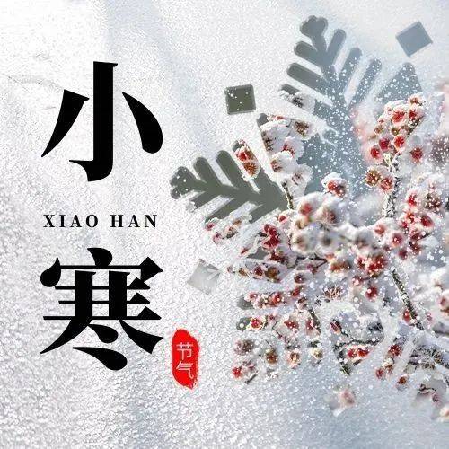 今日小寒丨夜深知雪重，时闻折竹声。莫怪严南方望春