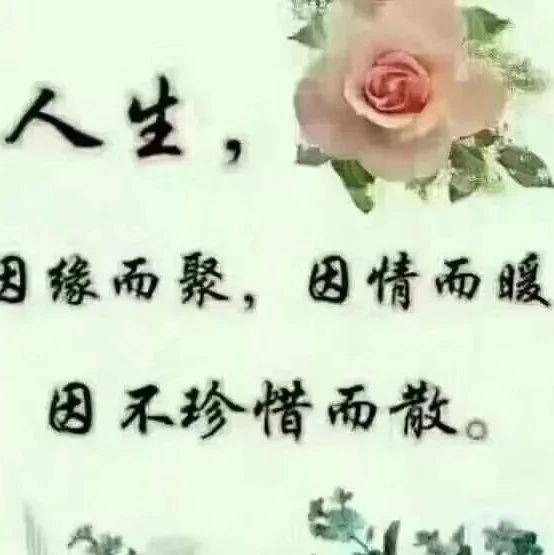 我滴妈呀,我累了,谁心疼?(真心话)平常心行为大海