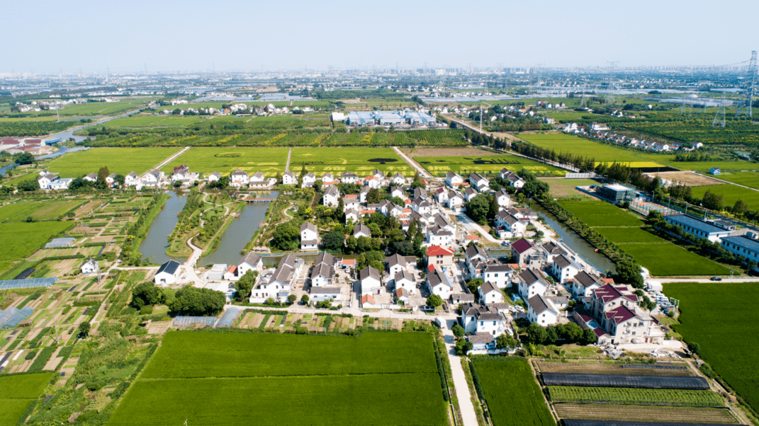 重固镇 “回龙村”入选市美丽乡村示范村，很多人来这里拍照打卡！你来过没有？建设村民农业 5865
